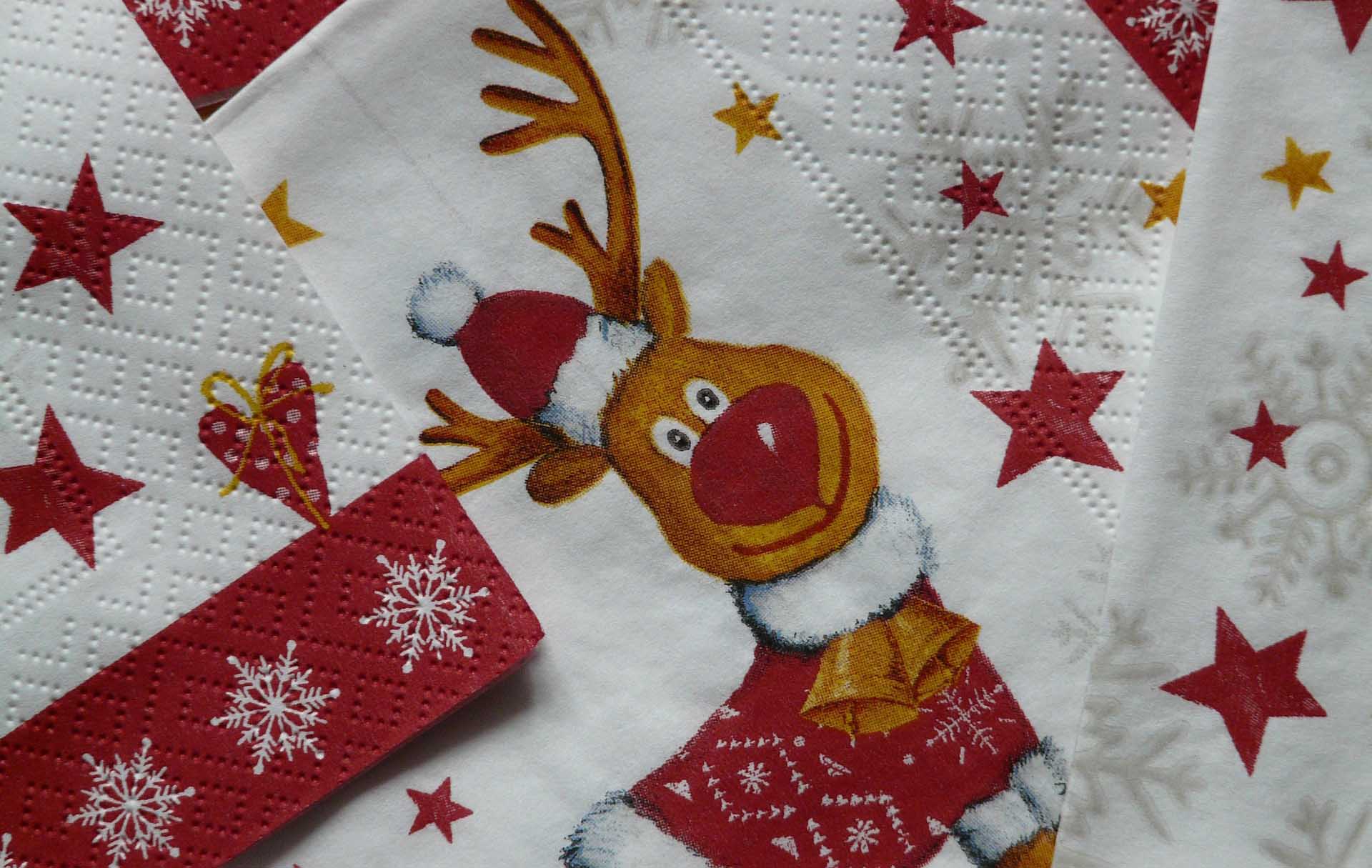 What Are the Names of the 10 Reindeers? – Very Many Names