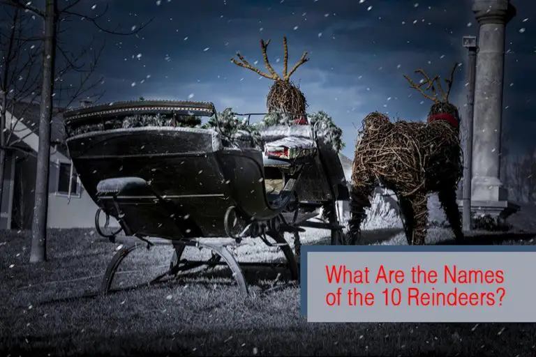 What Are the Names of the 10 Reindeers? – Very Many Names