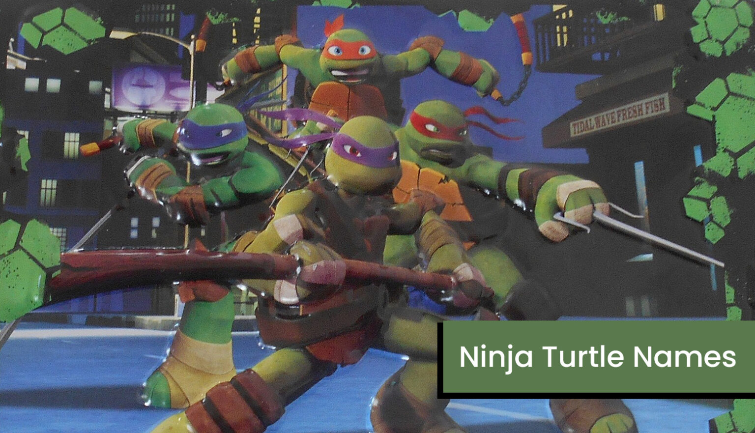 Ninja Turtle Names – Very Many Names
