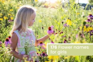 Flower names for girls – 176 names with a meaning – Very Many Names